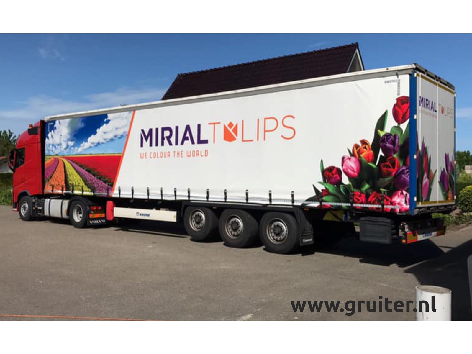 Fullcollor zeilen voor Mirial Tulips - Van de Gruiter